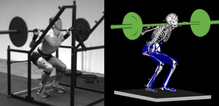 Human Musculoskeletal Modeling And Analysis Reneu Robotics Lab